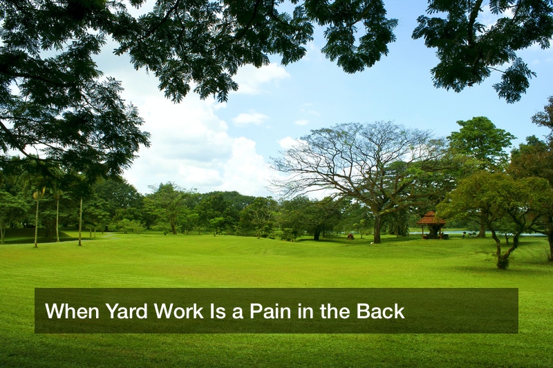 When Yard Work Is a Pain in the Back - Healthy Balanced Diet